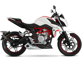 Zanella RZ 25 Naked Nuevo Modelo